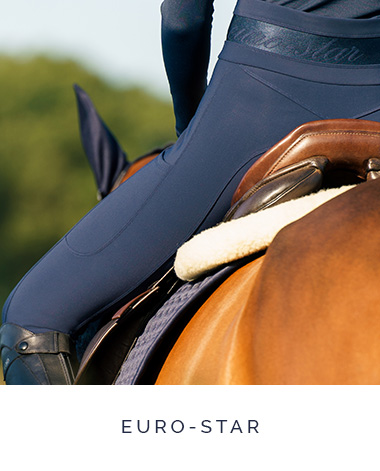 Home - HV EQUESTRIAN