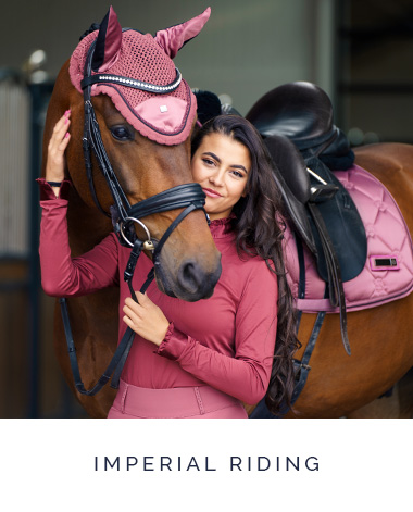 Home - HV EQUESTRIAN